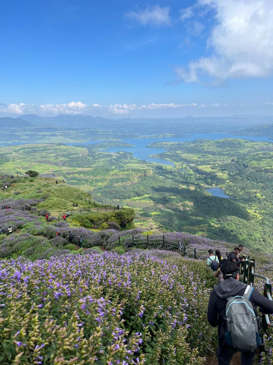 KAAS PATHAR,EKIV WATERFALL, KAAS LAKE, AJINKYATARA FORT - United ...