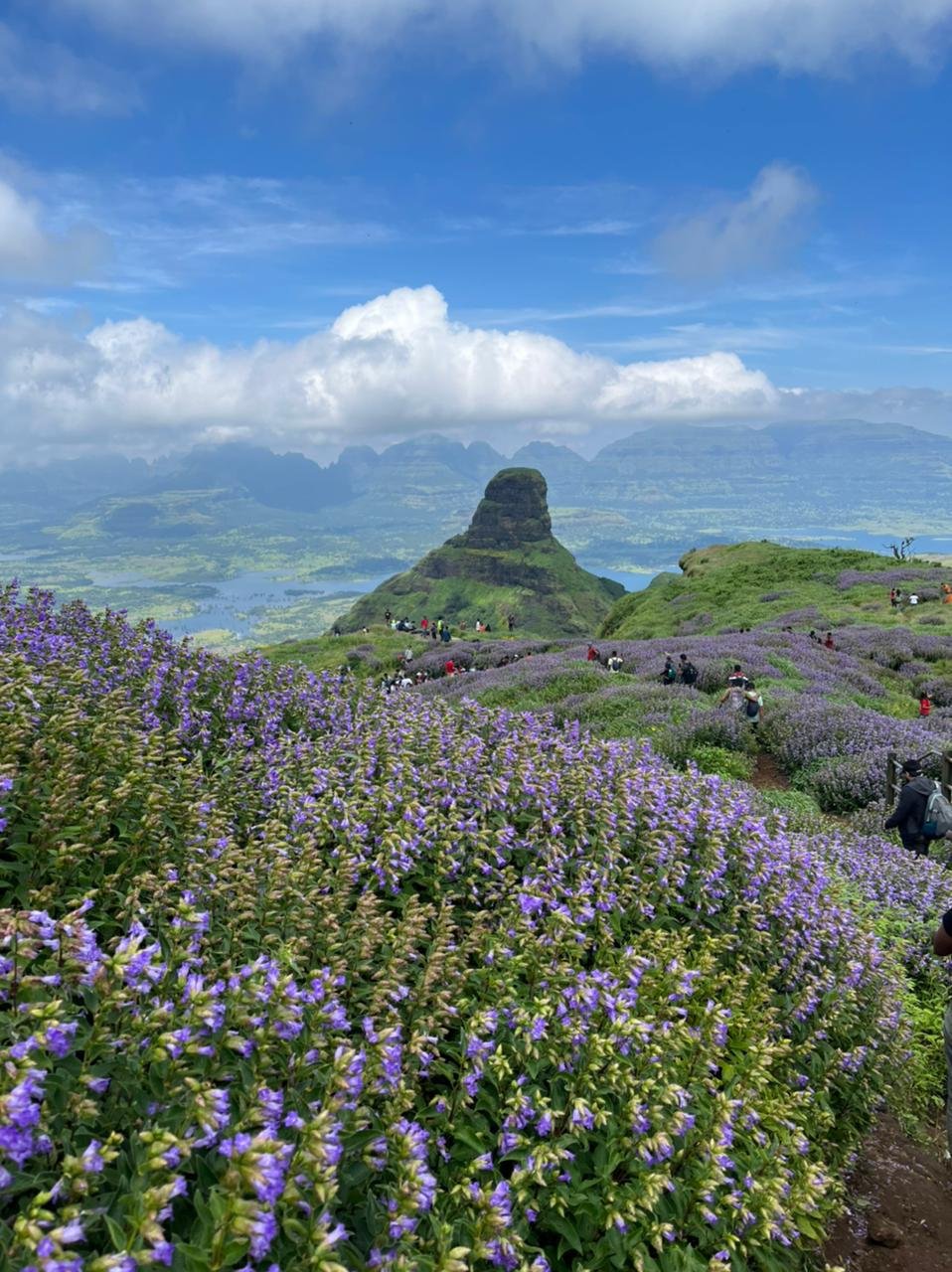 KAAS PATHAR,EKIV WATERFALL, KAAS LAKE, AJINKYATARA FORT - United ...
